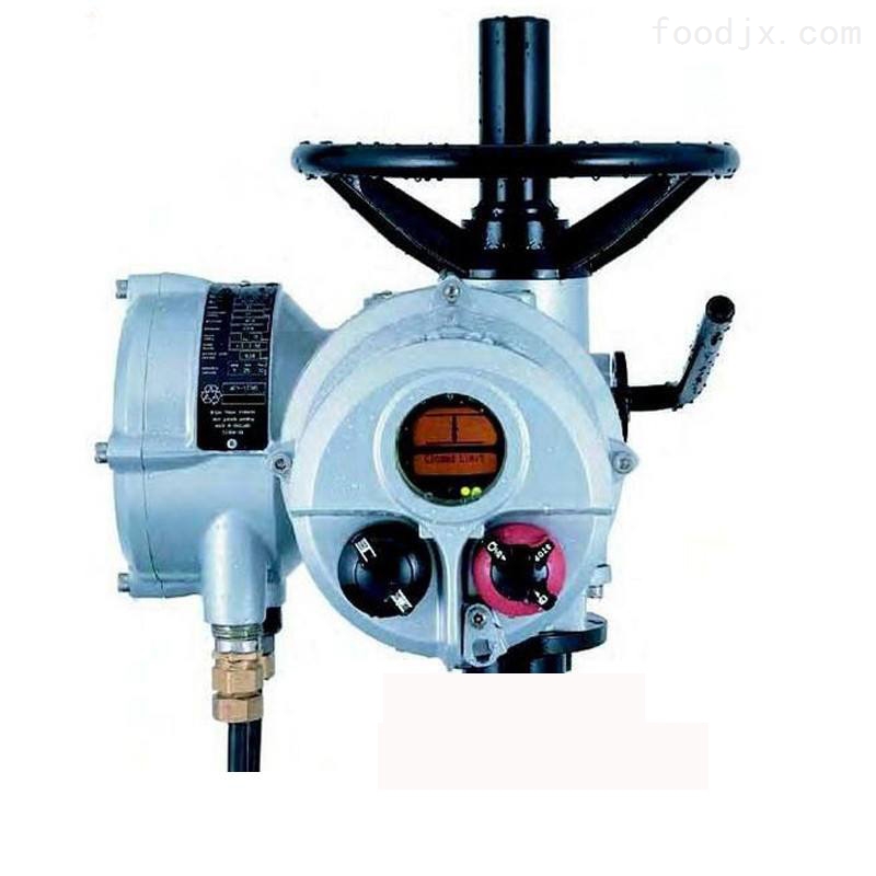 IQTC125 IQTC250-罗托克英国ROTORK执行器IQT125 IQT250维修-扬州瑞浦执行器制造有限公司